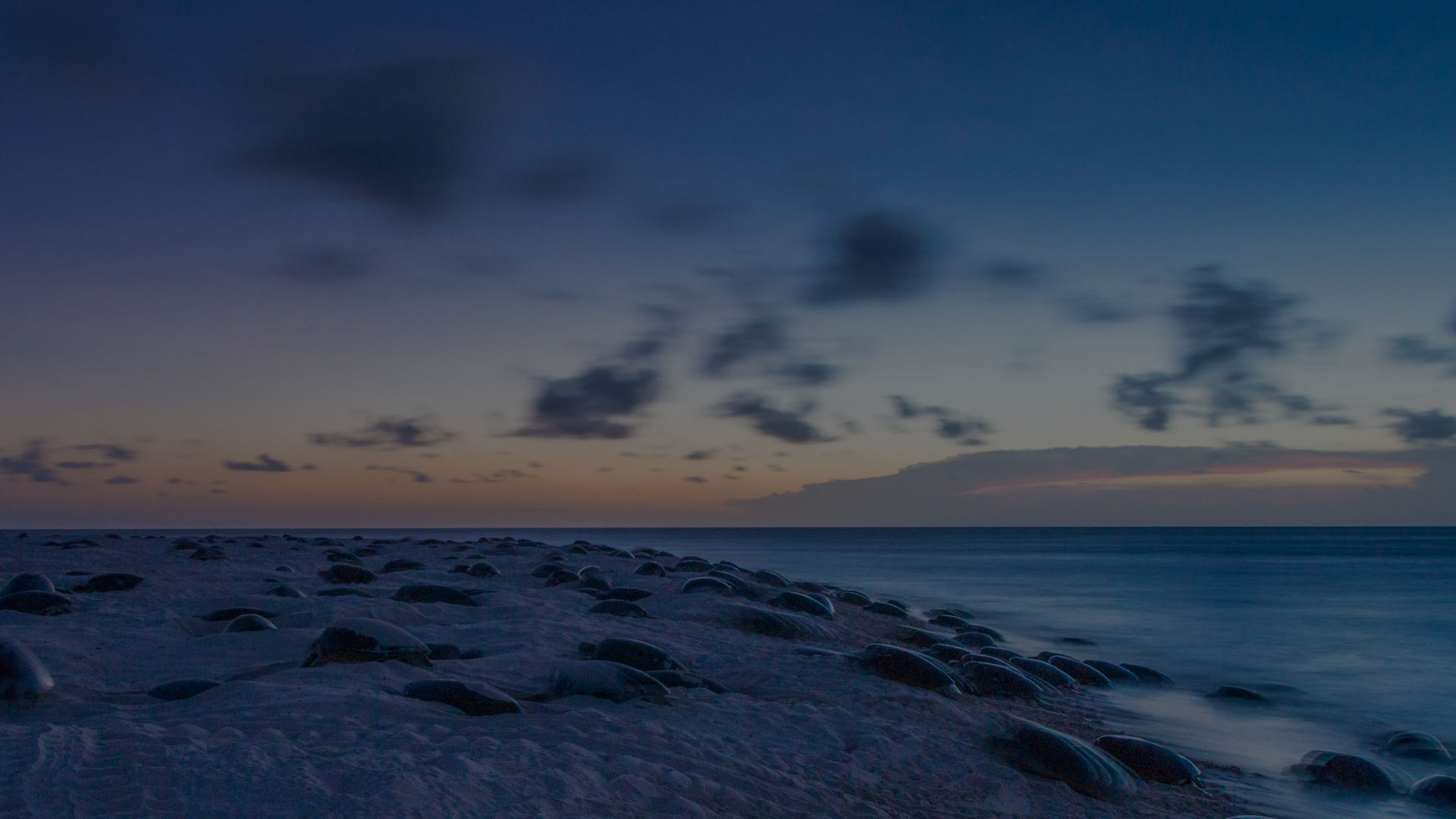 Great Barrier Reef Foundation - Great Barrier Reef Foundation