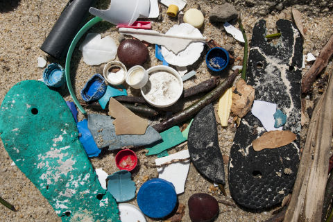 Community-led conservation - Great Barrier Reef Foundation