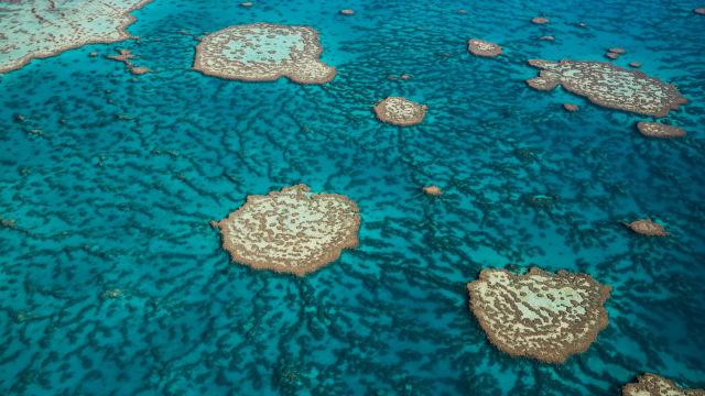 Welcome - Great Barrier Reef Foundation