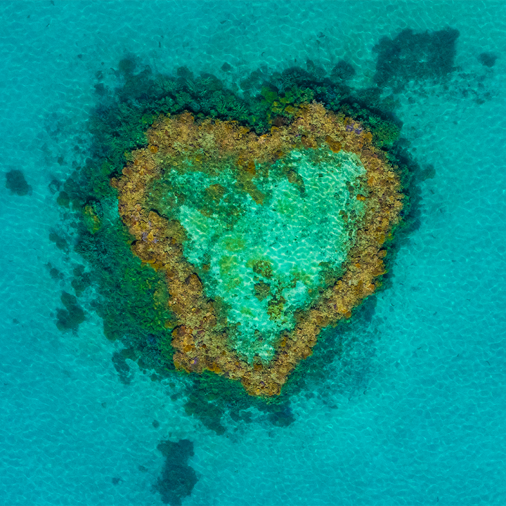 You Can Help - Great Barrier Reef Foundation - Great Barrier Reef ...