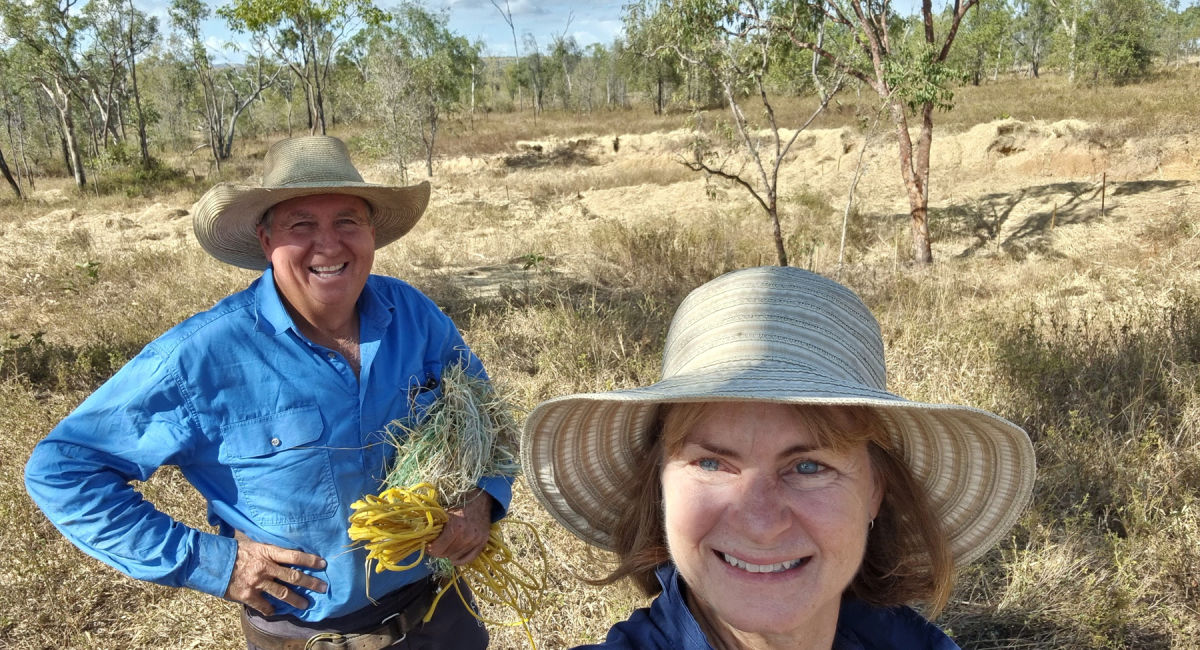 Every bit counts: working on small gullies to reduce sediment - Great ...