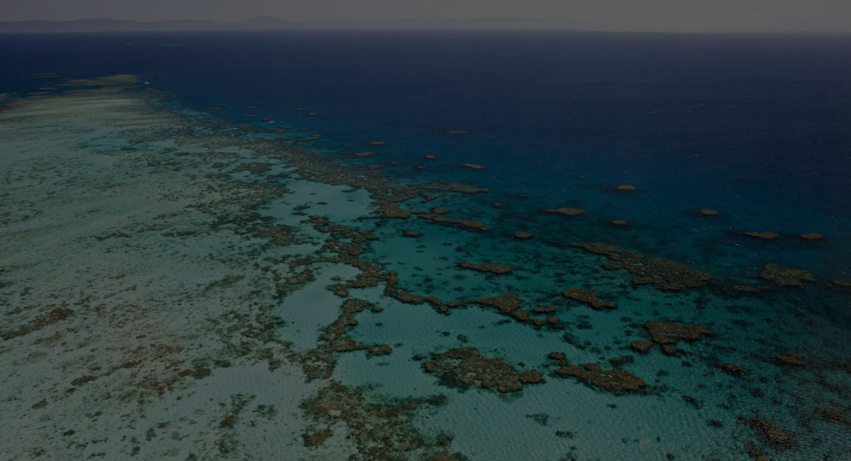 Community Reef Protection Resources - Great Barrier Reef Foundation