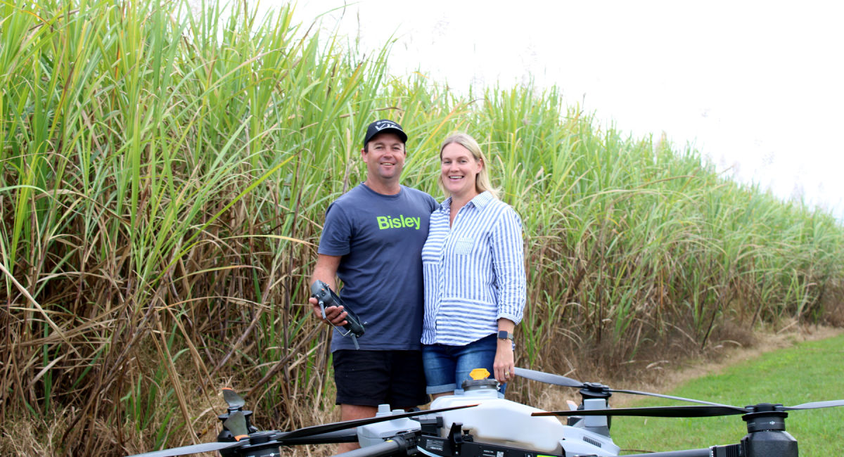 Aerial drone reduces fertiliser losses from farm - Great Barrier Reef ...