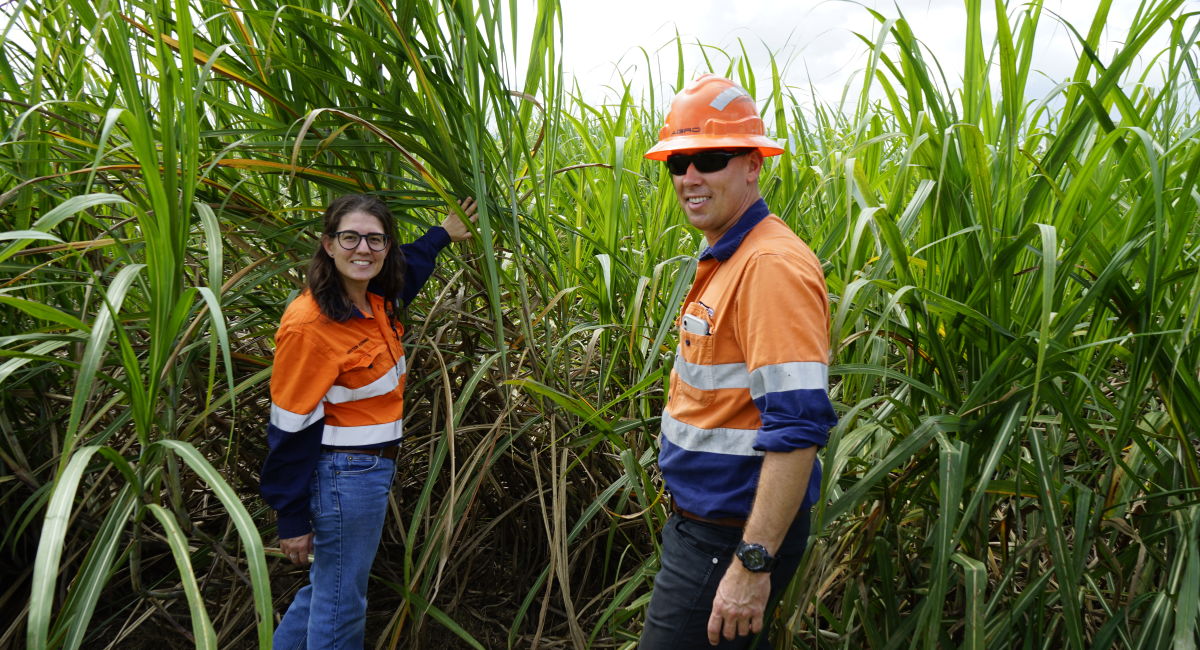 Technology changes the way farmers fertilise their cane crops - Great ...