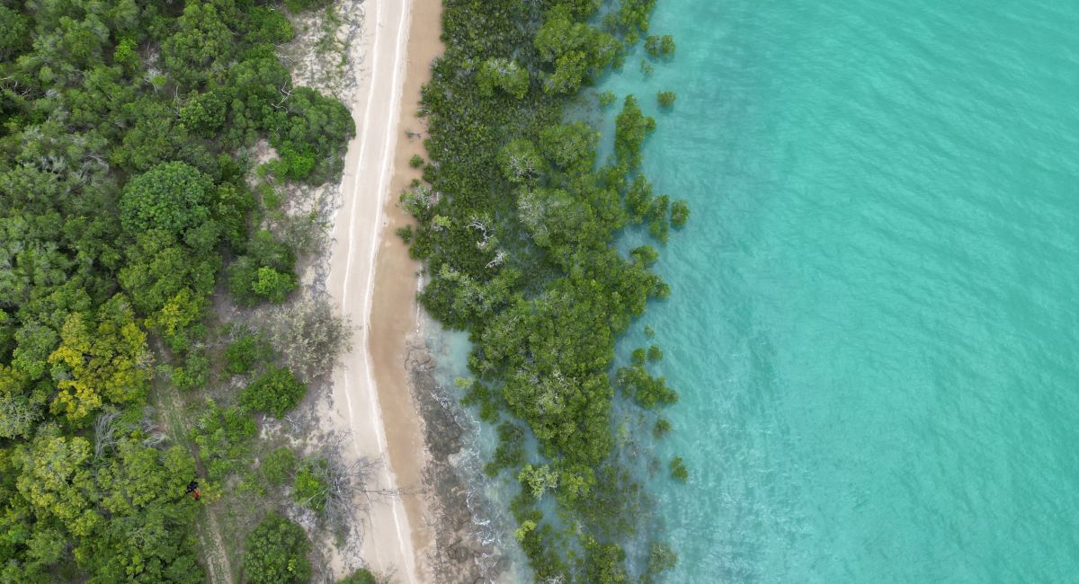 Avoid Island - Great Barrier Reef Foundation