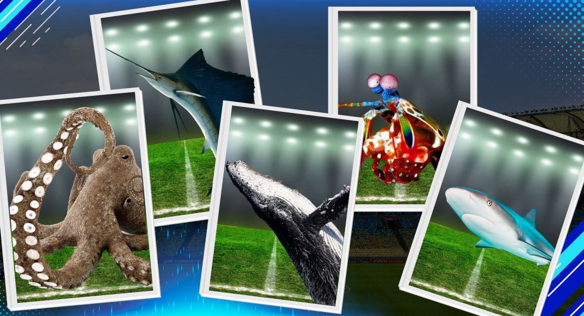 It’s game on for the Great Barrier Reef - Great Barrier Reef Foundation