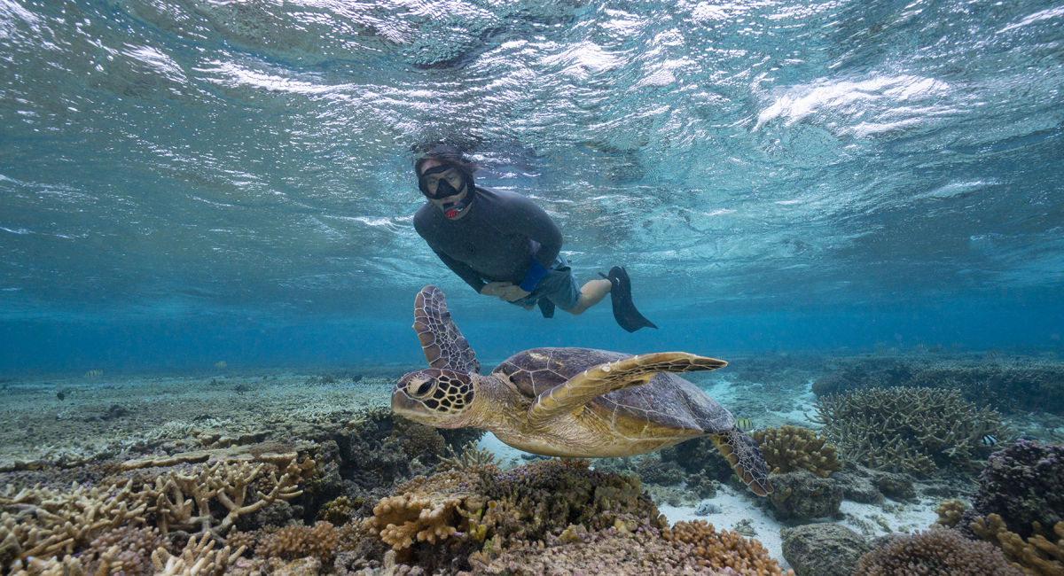 Tourism In Action Transforming How Visitors Connect With The Great