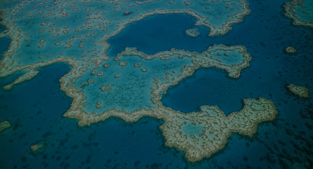 Visit The Reef - Great Barrier Reef Foundation - Great Barrier Reef ...