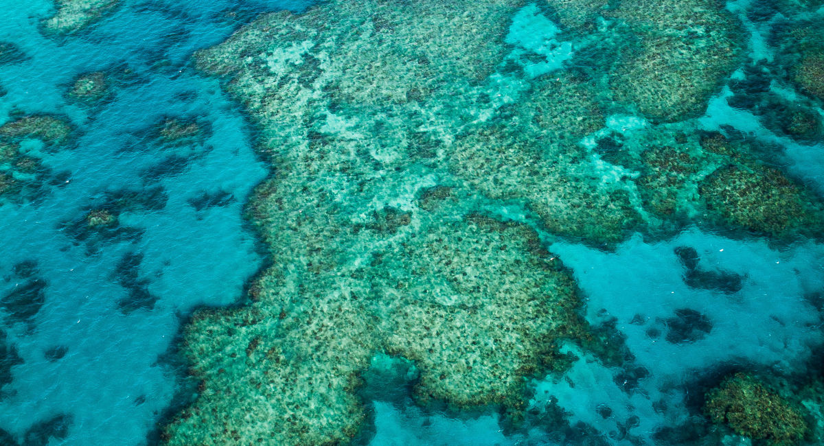 Cyclone Gretel reduces sea temperatures on Great Barrier Reef - Great ...