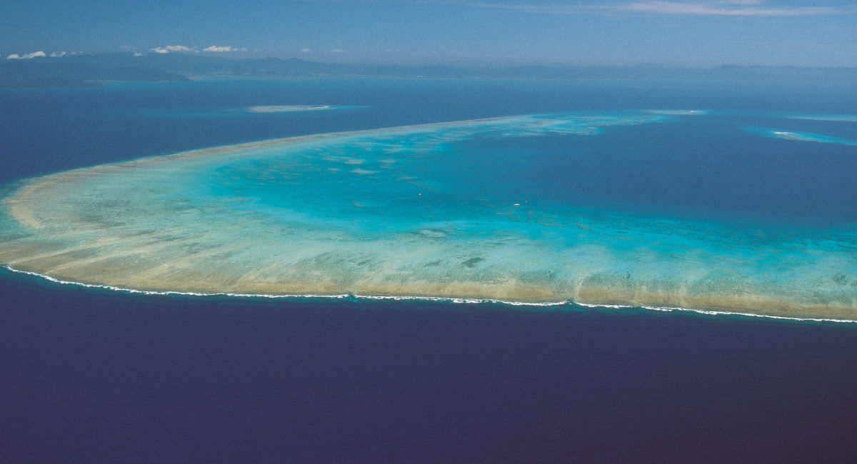 Integrated Monitoring and Reporting - Great Barrier Reef Foundation