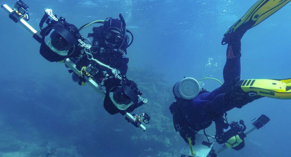 What is photogrammetry? - Great Barrier Reef Foundation