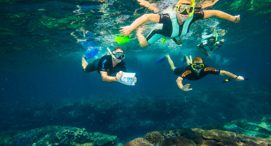 Volunteer - Great Barrier Reef Foundation - Great Barrier Reef Foundation