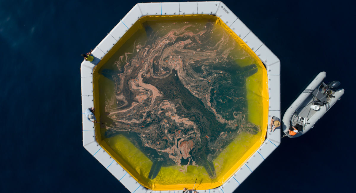 Our Projects - Great Barrier Reef Foundation - Great Barrier Reef ...