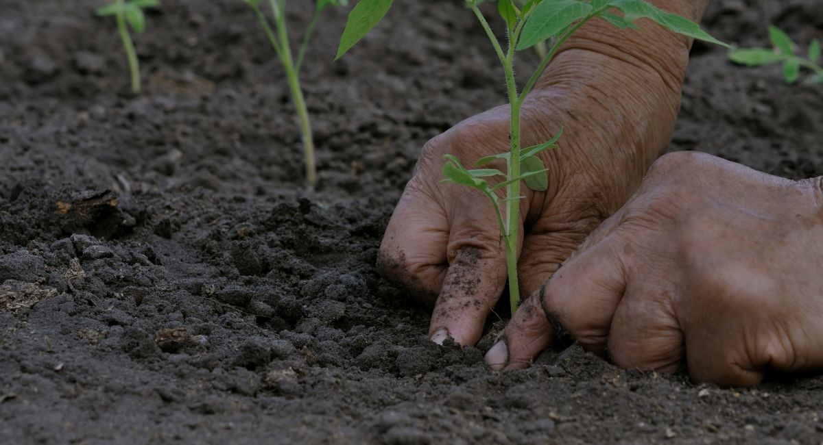 Working with Traditional Owners and communities - Great Barrier Reef ...