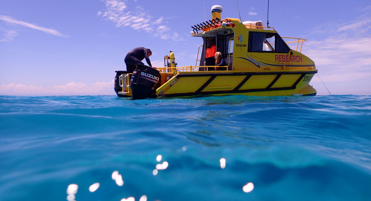 Bot vs Lizard – RangerBot put to the test - Great Barrier Reef Foundation