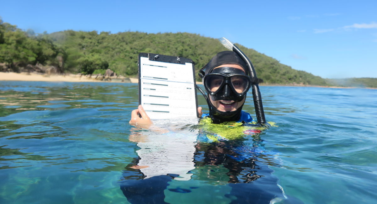 10 citizen science projects get all hands on deck to boost Reef ...