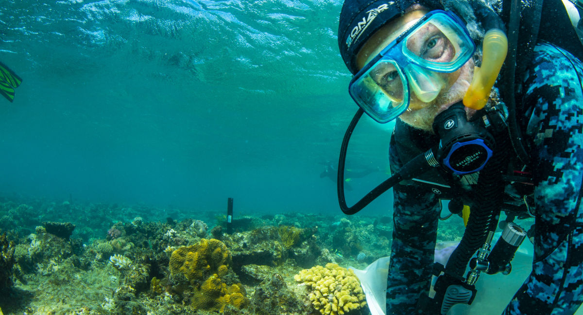 Australian-first reef restoration hub for Cairns & Port Douglas - Great ...