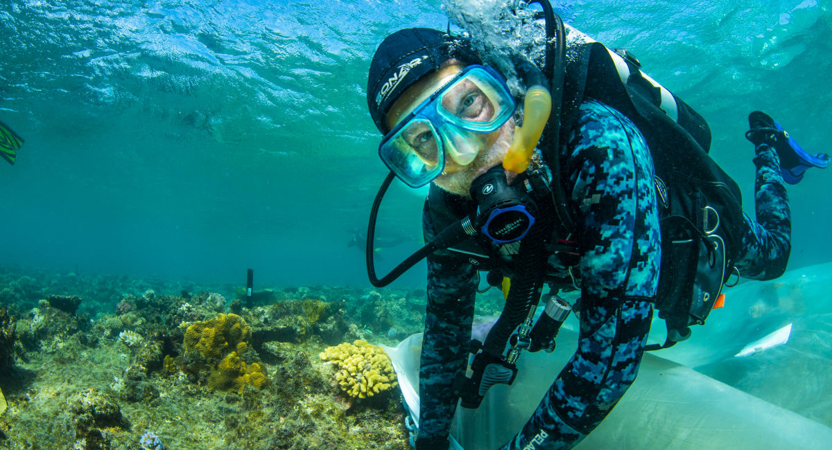 Reef Restoration - Great Barrier Reef Foundation - Great Barrier Reef ...