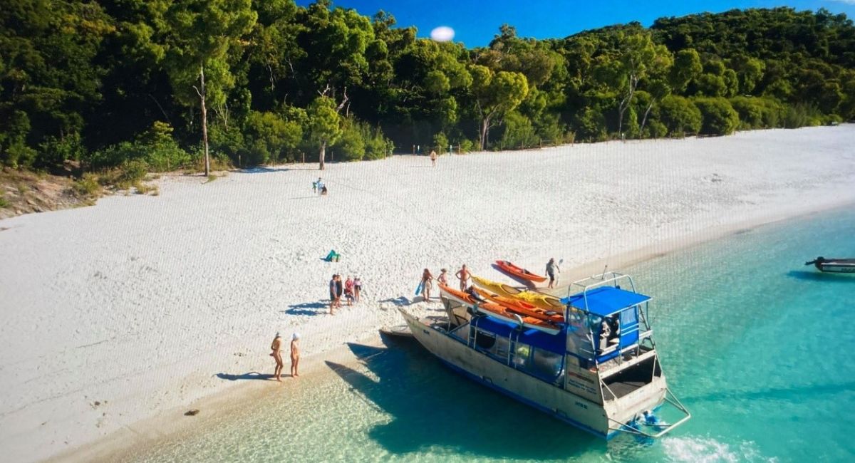 Q&A with Salty Dog Sea Kayaking - Great Barrier Reef Foundation