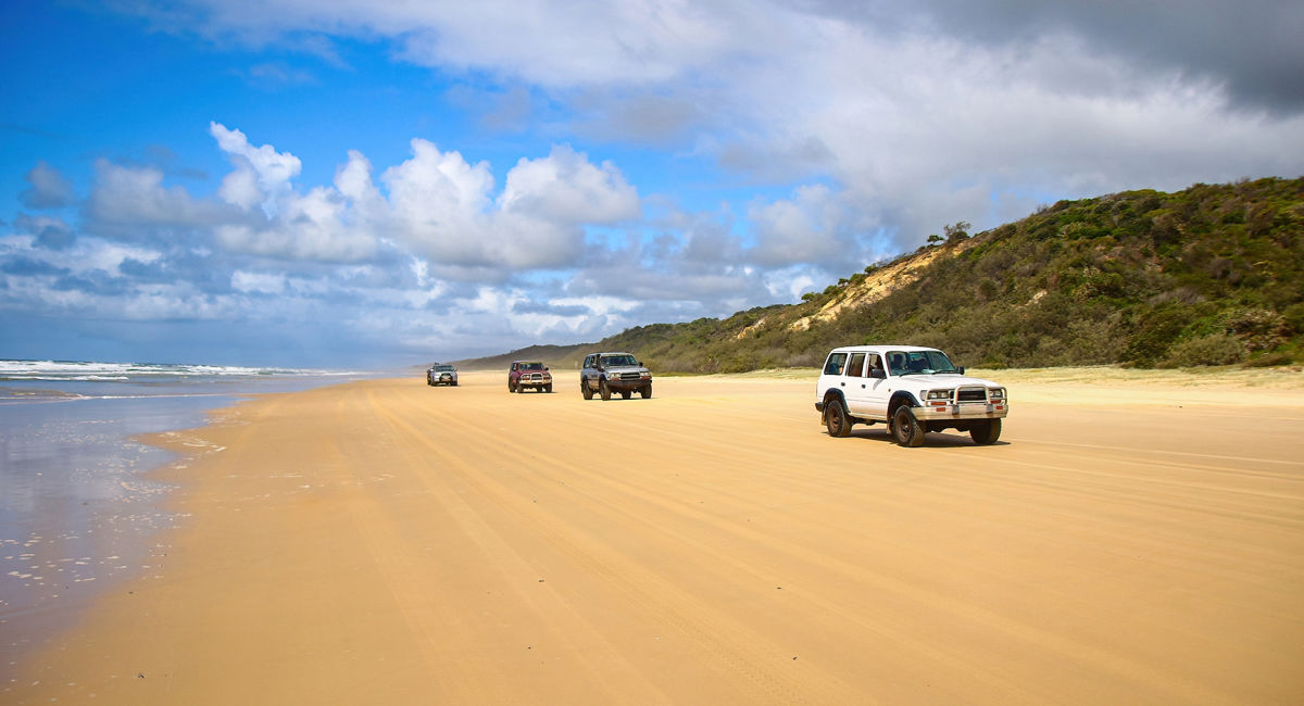 Driving in the right direction for turtle protection - Great Barrier ...