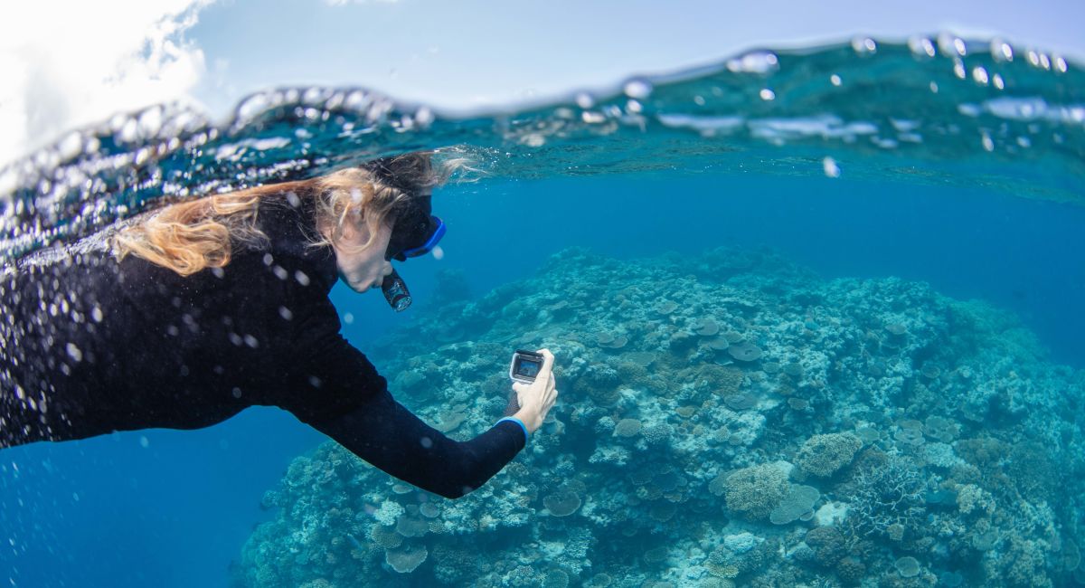 Become a citizen scientist to help the Reef - Great Barrier Reef Foundation