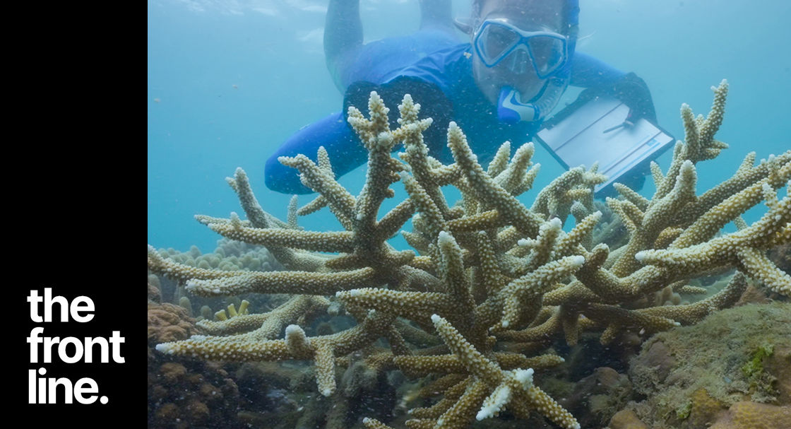 On the Front Line with Reef Community Scientists - Great Barrier Reef ...