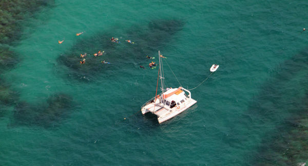 Queensland $56 billion Reef worth protecting - Great Barrier Reef ...